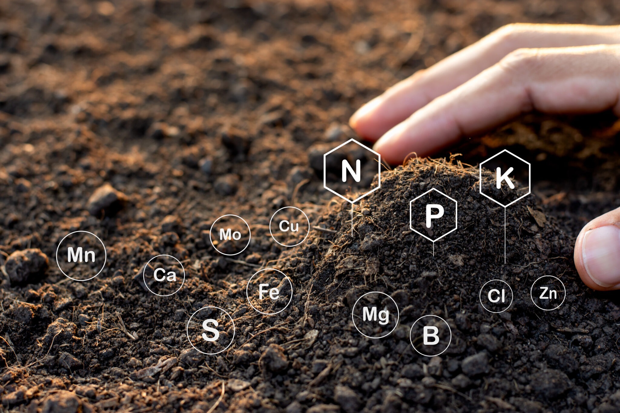Beneath the Surface: Unearthing the Importance of Soil Testing and ...