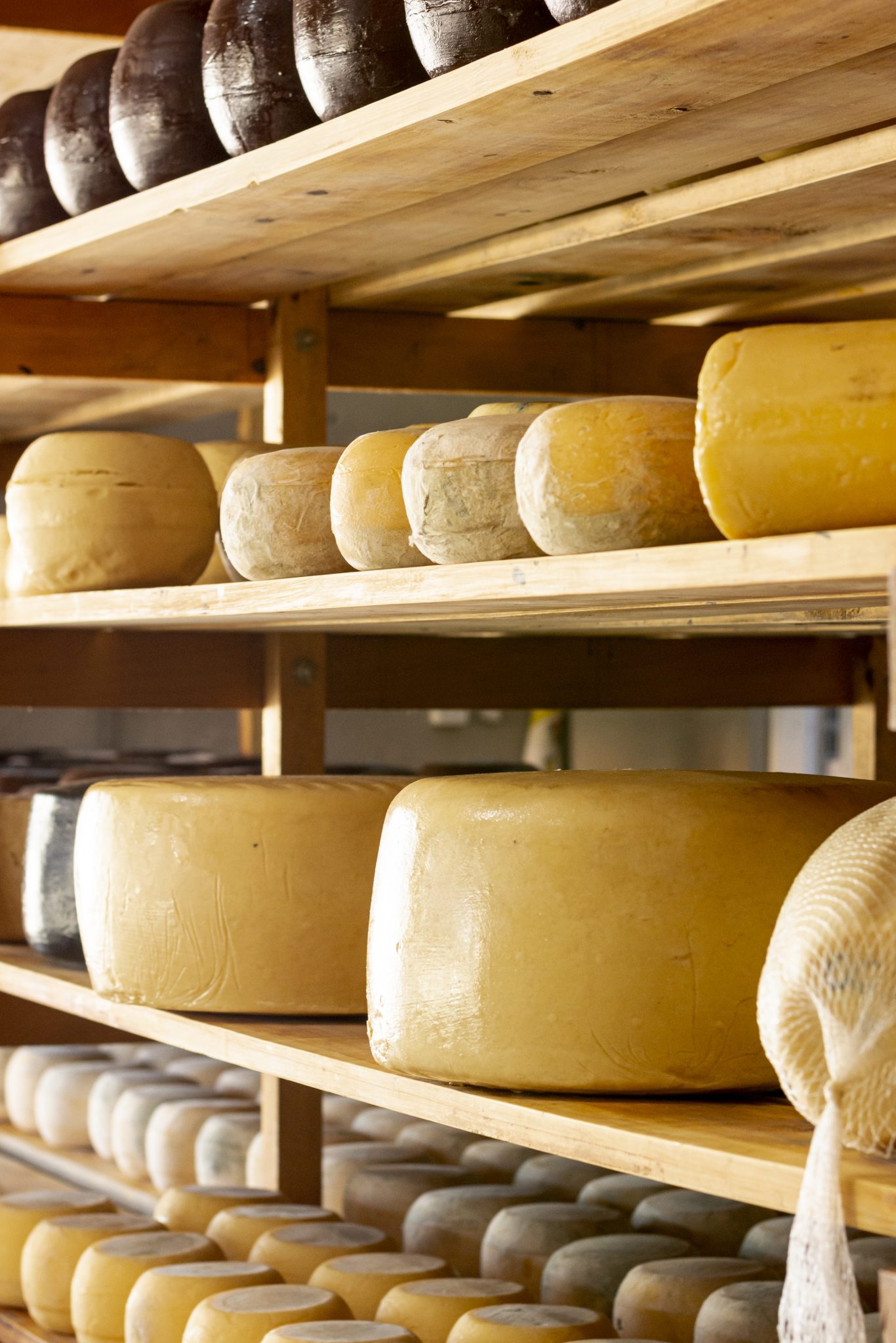 The Best Cheese Festivals: A Guide to the World's Most Amazing Events ...